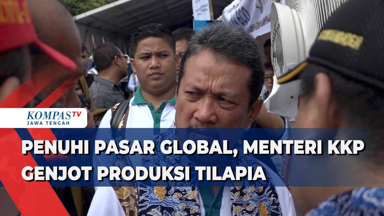 Penuhi Pasar Global, Menteri KKP Genjot Produksi Tilapia - Kompas TV ...