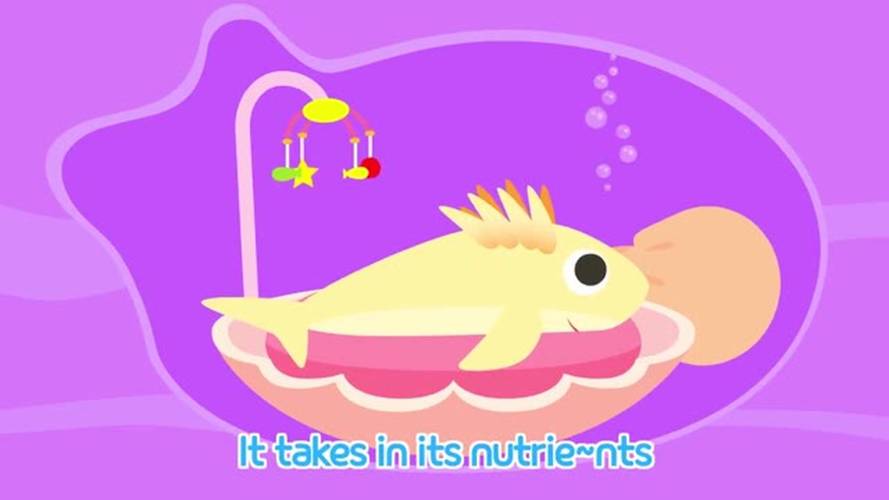 Tayo Shark Song - Ep 09 - A Baby Shark in the Egg (2022) | Vidio
