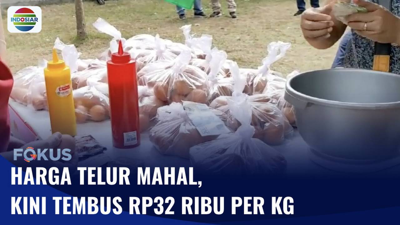 Harga Telur Masih Mahal! Tembus Rp32 Ribu per Kg | Fokus - INDOSIAR | Vidio