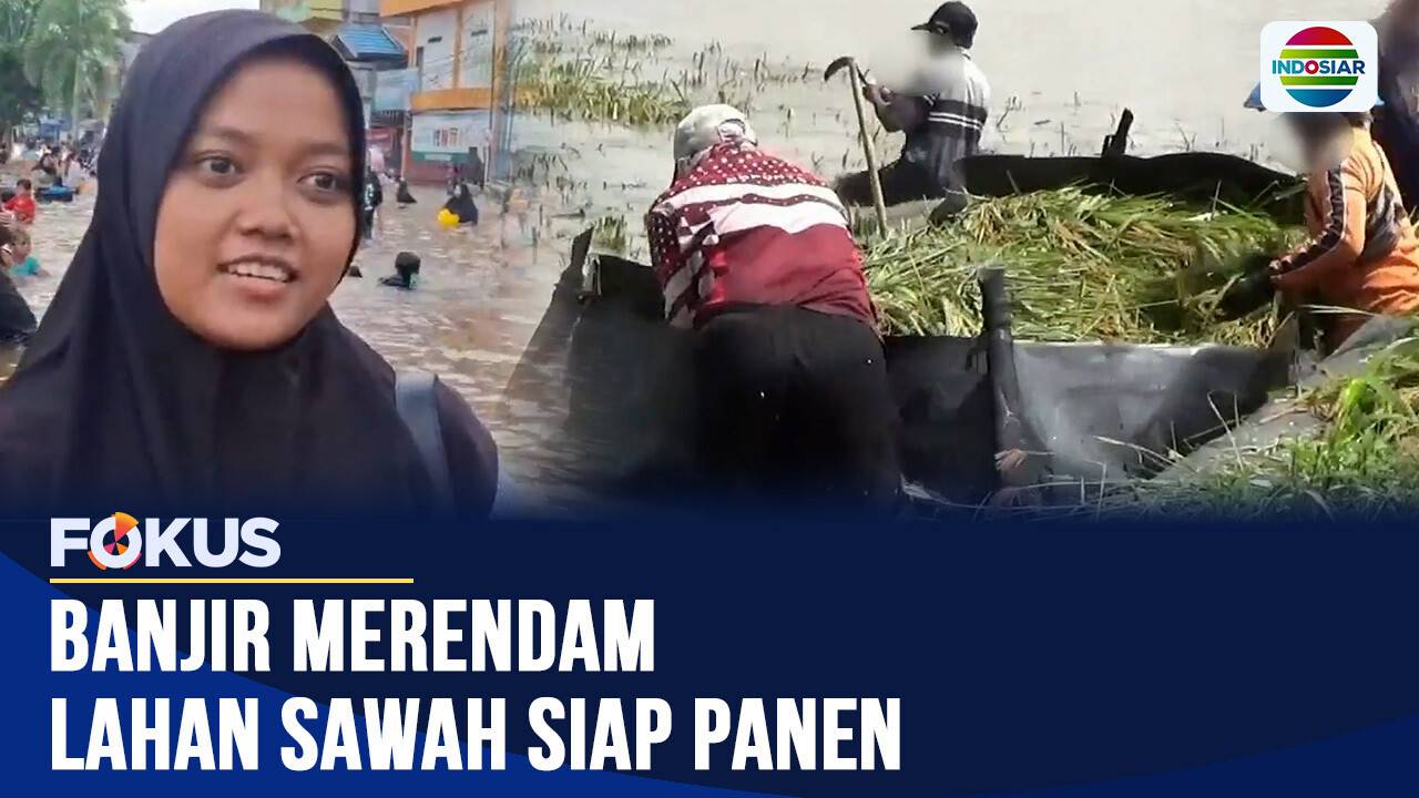 Banjir Lumpuhkan Layanan Publik dan Jadi Wahana Wisata Dadakan | Fokus - INDOSIAR | Vidio