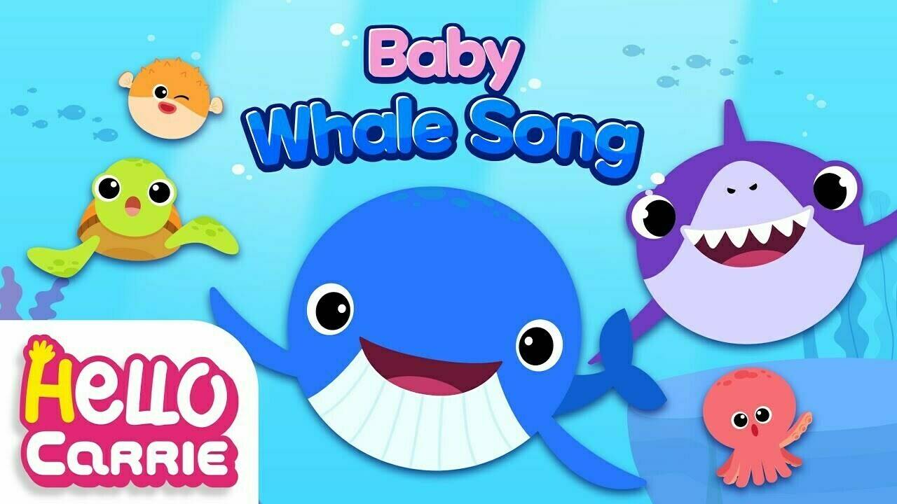 Hello Carrie - Animals - Baby Whale (2022) | Vidio