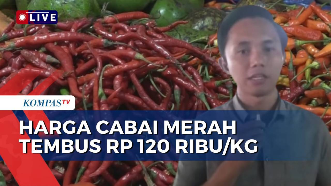 Terbaru! Harga Cabai Merah di Medan Meroket, Tembus Rp 120 Ribu per ...