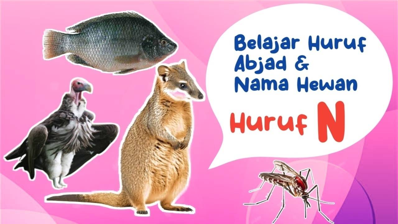 Mengenal Nama Hewan dan Belajar Huruf Abjad Abcd Belajar Huruf N.