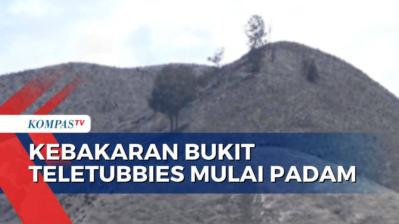 Kebakaran Bukit Teletubbies Bromo Gara-Gara Flare Prewedding Mulai ...