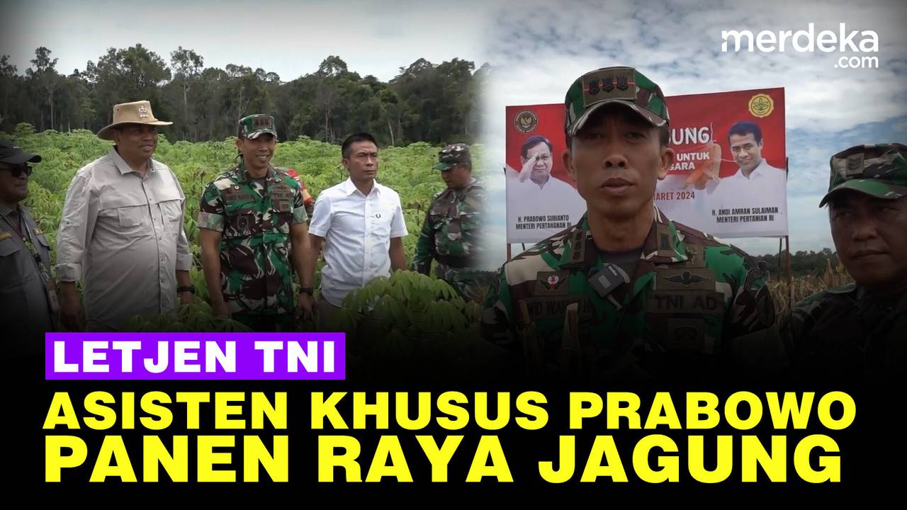 Momen Jenderal Bintang Tiga Asisten Prabowo Panen Raya Jagung di ...