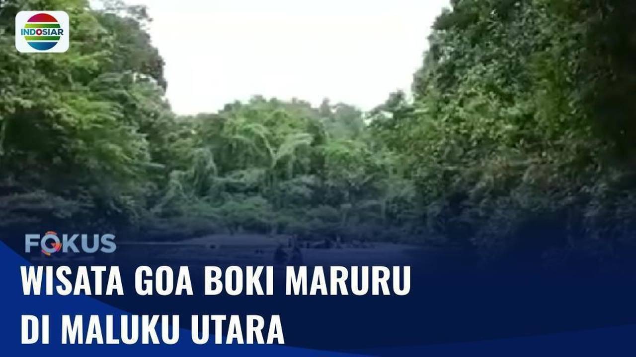 Wisata Goa Boki Maruru, Surga Tersembunyi di Maluku Utara | Fokus - INDOSIAR | Vidio