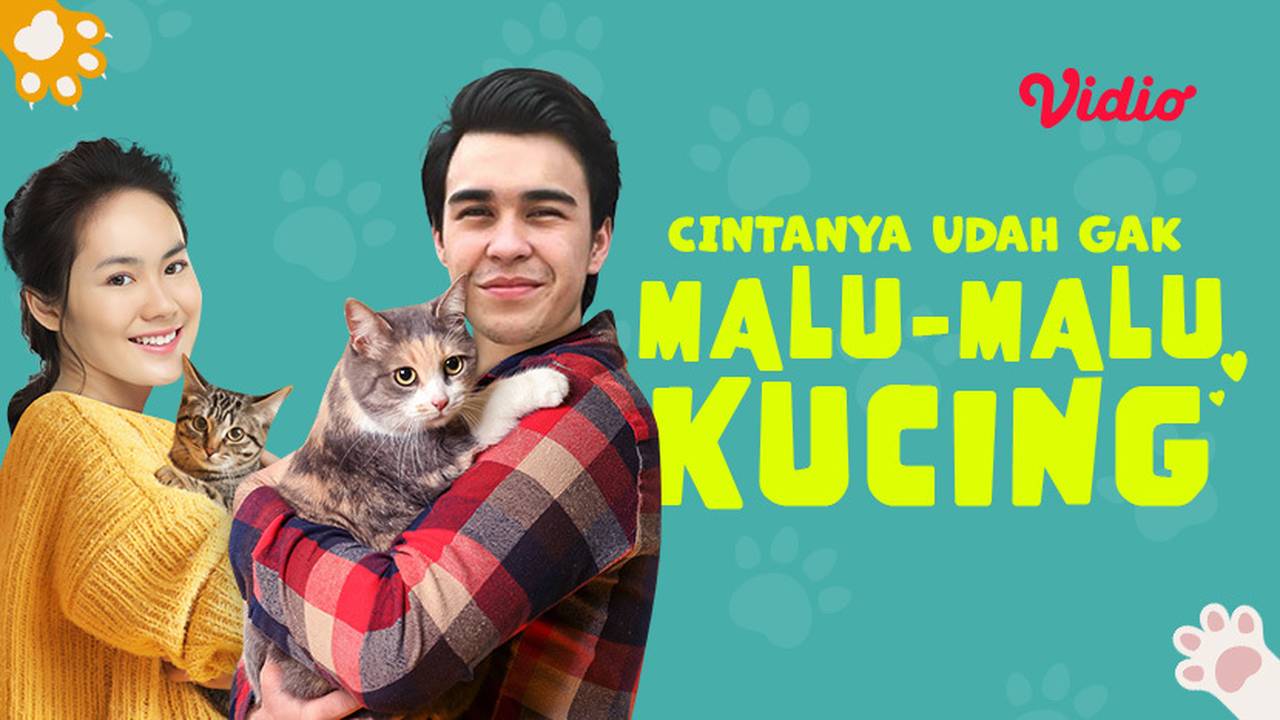 Streaming Cintanya Udah Gak Malu Malu Kucing