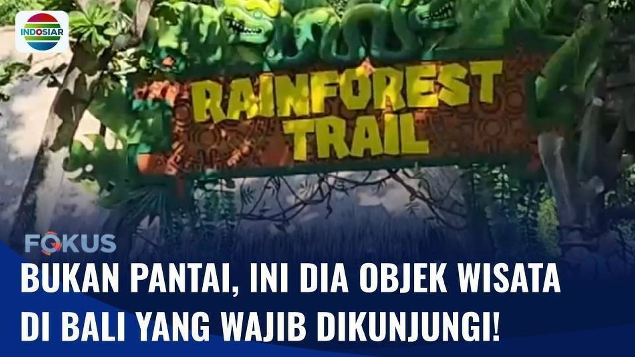 Rainforest Trail di Bali Safari Bawakan Suasana Hutan Hujan Tropis ke ...