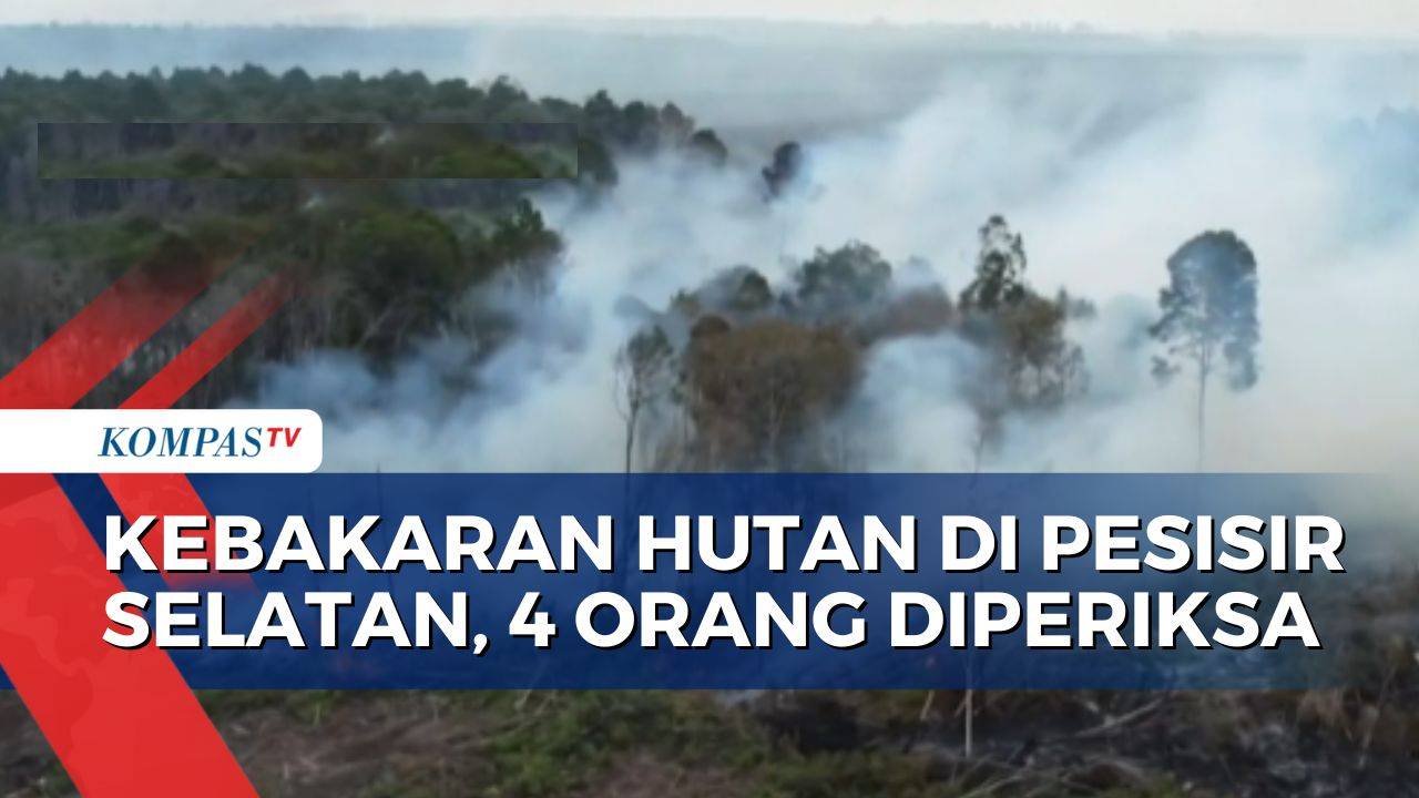 Selidiki Penyebab Kebakaran Lahan dan Hutan di Pesisir Selatan, Polisi ...