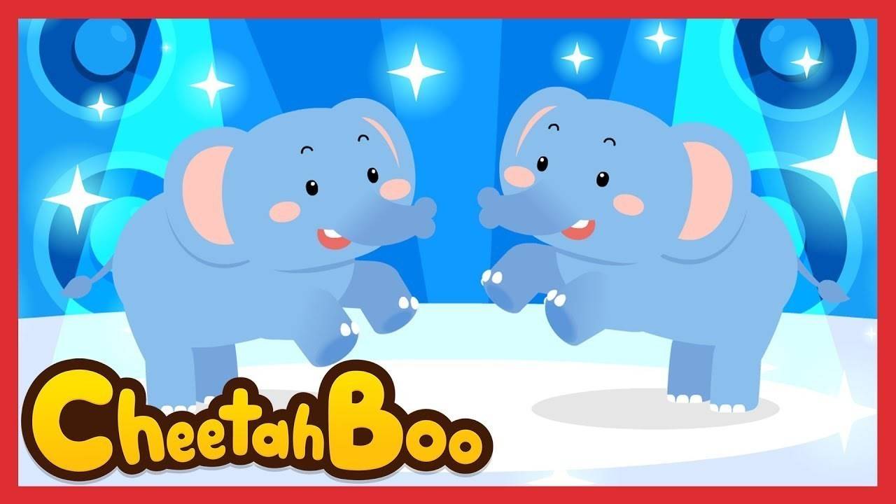 Cheetahboo - Animal Songs - Cheetahboo's animal songs Compilation (2023 ...