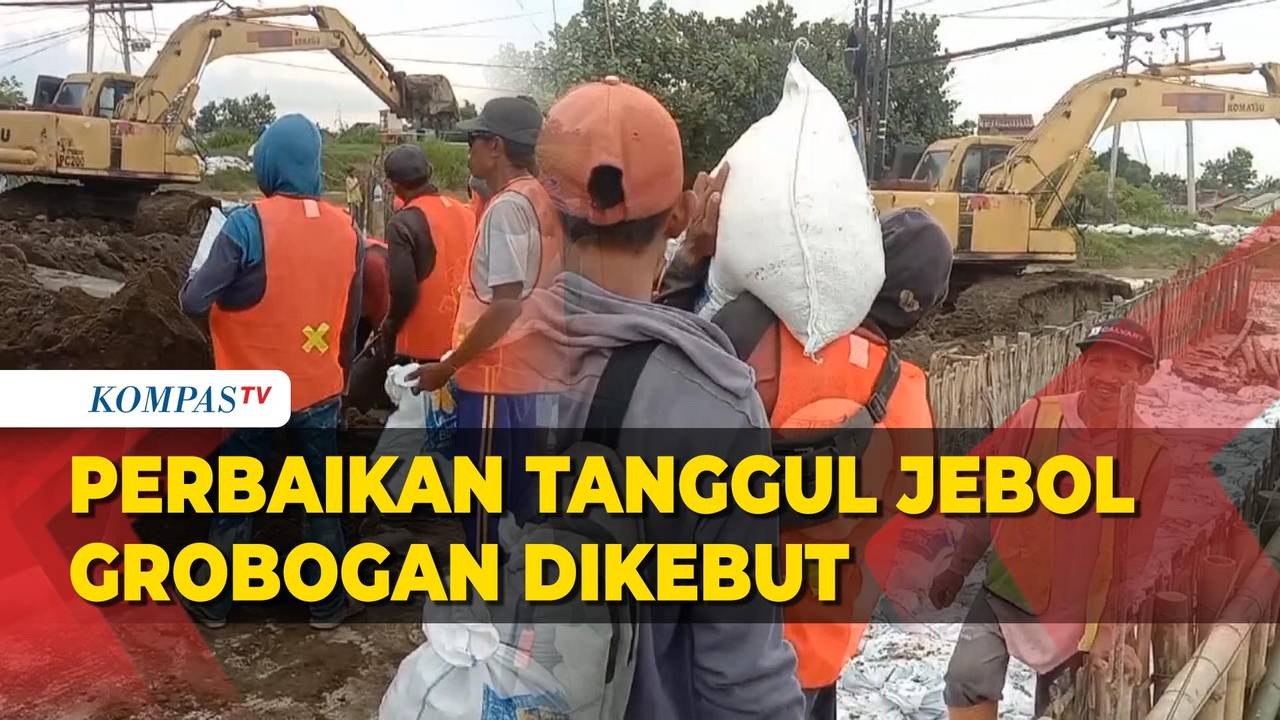 Banjir di Grobogan, Perbaikan Tanggul Jebol Sungai Tuntang Dikebut ...