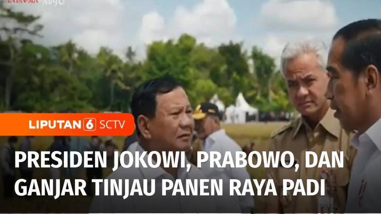 Momen Presiden Jokowi, Prabowo, dan Ganjar Pranowo Tinjau Panen Raya Padi di Kebumen | Liputan 6 ...