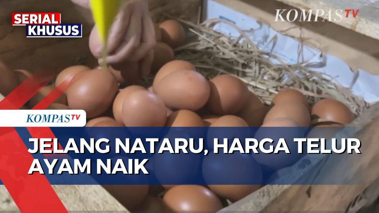 Jelang Pergantian Tahun, Harga Telur Ayam Naik Jadi Rp 29.000 per Kg | SPECIAL NATARU - Kompas ...