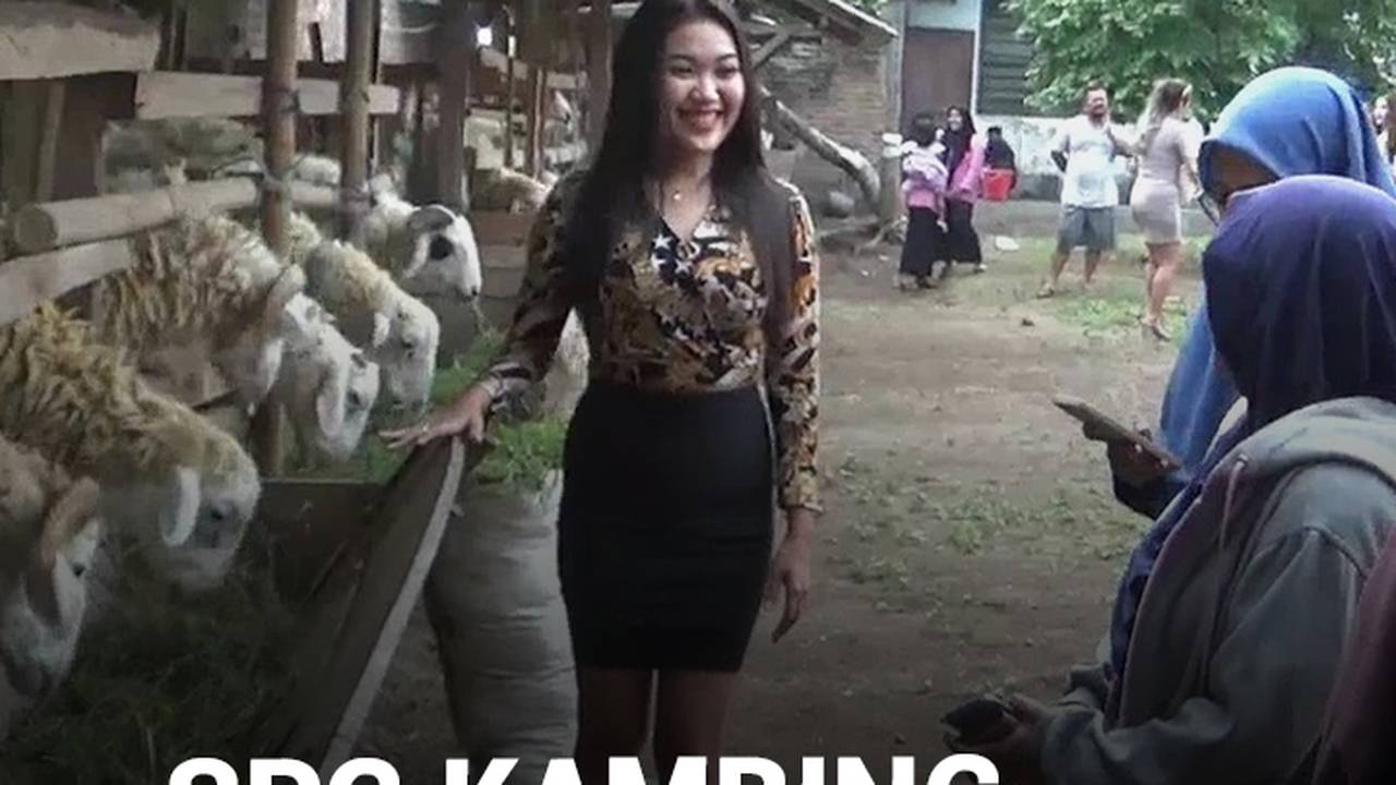Jelang Idul Adha, Pedagang Hewan Kurban Rekrut SPG - Shorts | Vidio