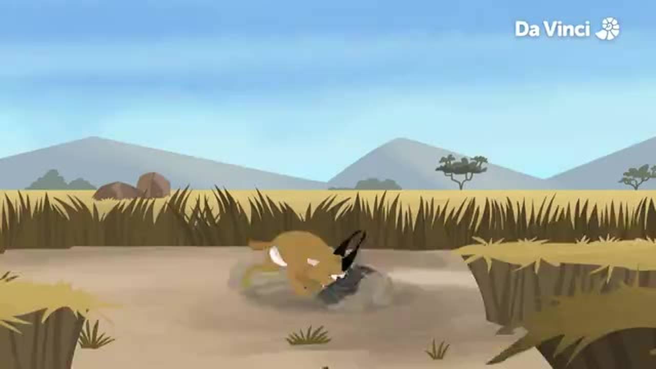 Wild Kratts - Ep 26 - Caracal-Minton (2022) | Vidio