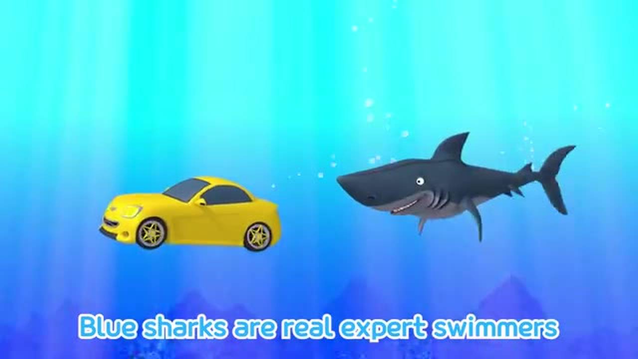 Tayo Shark Song - Ep 01 - Blue Shark (2022) | Vidio