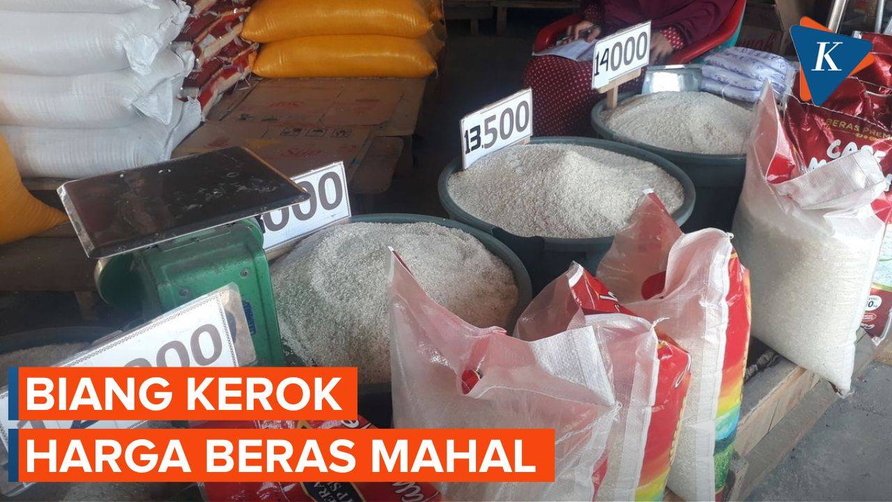 Sederet Biang Kerok Mahalnya Harga Beras - Kompascom | Vidio