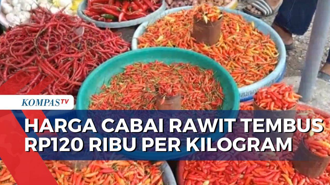 Harga Cabai Rawit di Baubau Makin Pedas, Tembus Rp120 Ribu per Kilogram - Kompas TV | Vidio