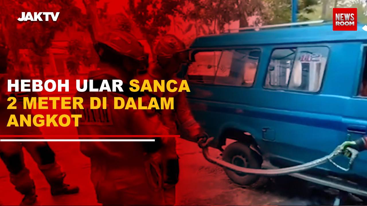 Heboh Ular Sanca 2 Meter di Dalam Angkot - jaktv.official | Vidio