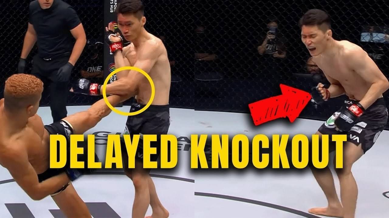 Nasty LIVER KICK KNOCKOUT Fabricio Andrade vs. Kwon Won Il | Vidio