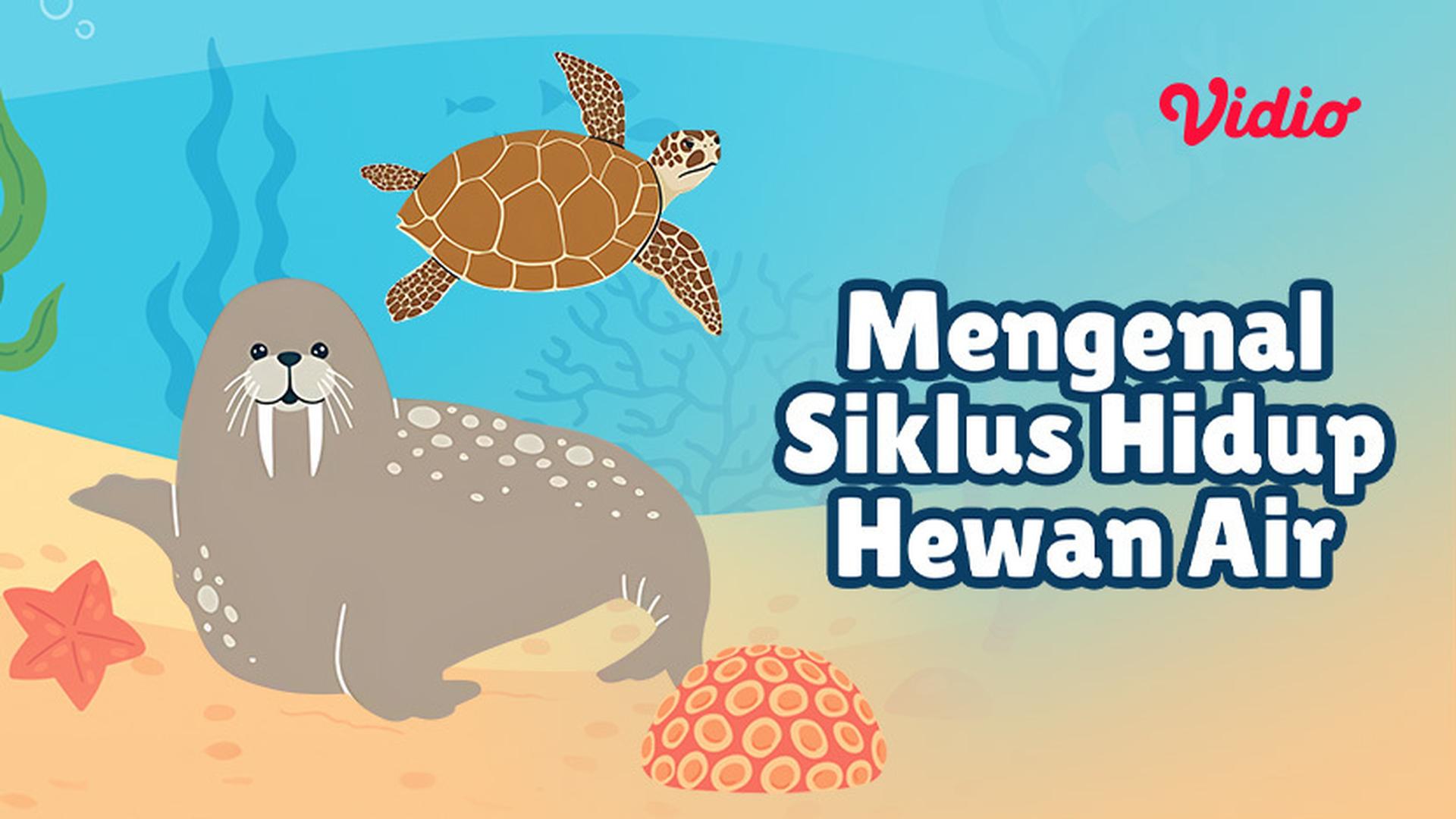 Streaming Auriga Land - Mengenal Siklus Hidup Hewan Air | Vidio