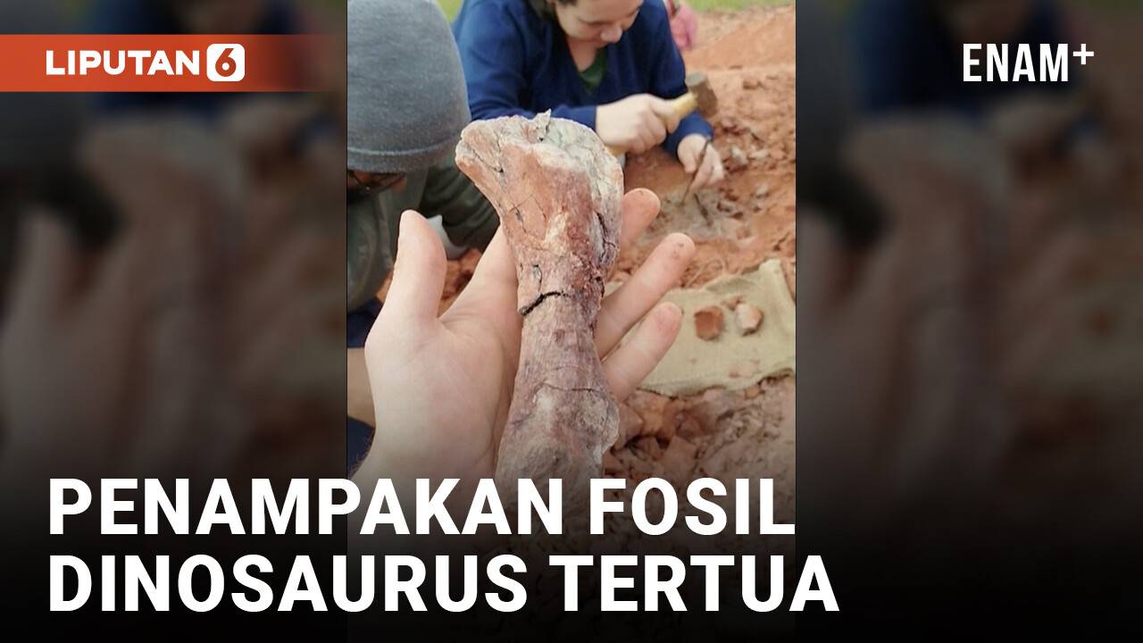PENEMUAN FOSIL DINOSAURUS BERUSIA 233 JUTA TAHUN DI BRASIL ...