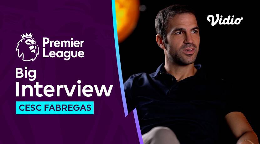 fabregas interview