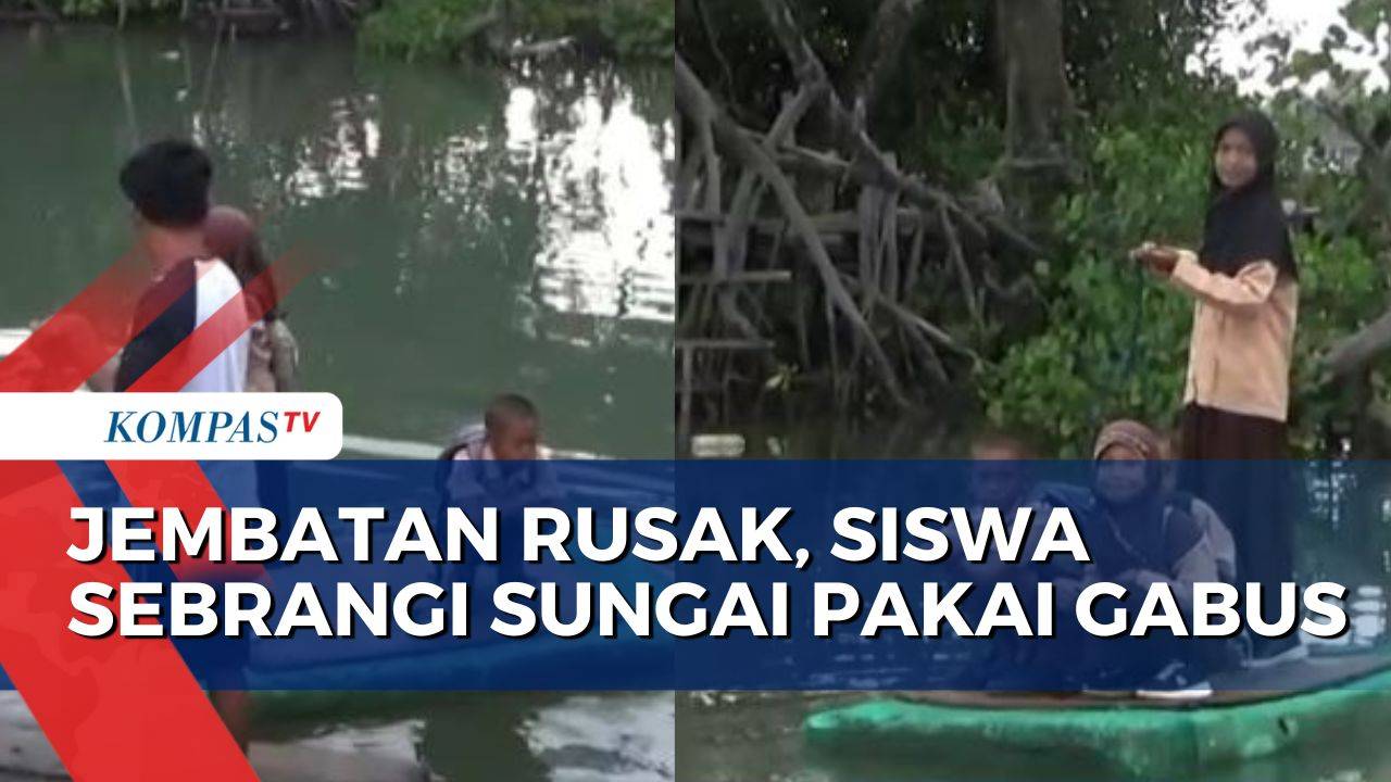 Jembatan Belum Diperbaiki, Siswa Sebrangi Sungai Pakai Gabus - Kompas ...