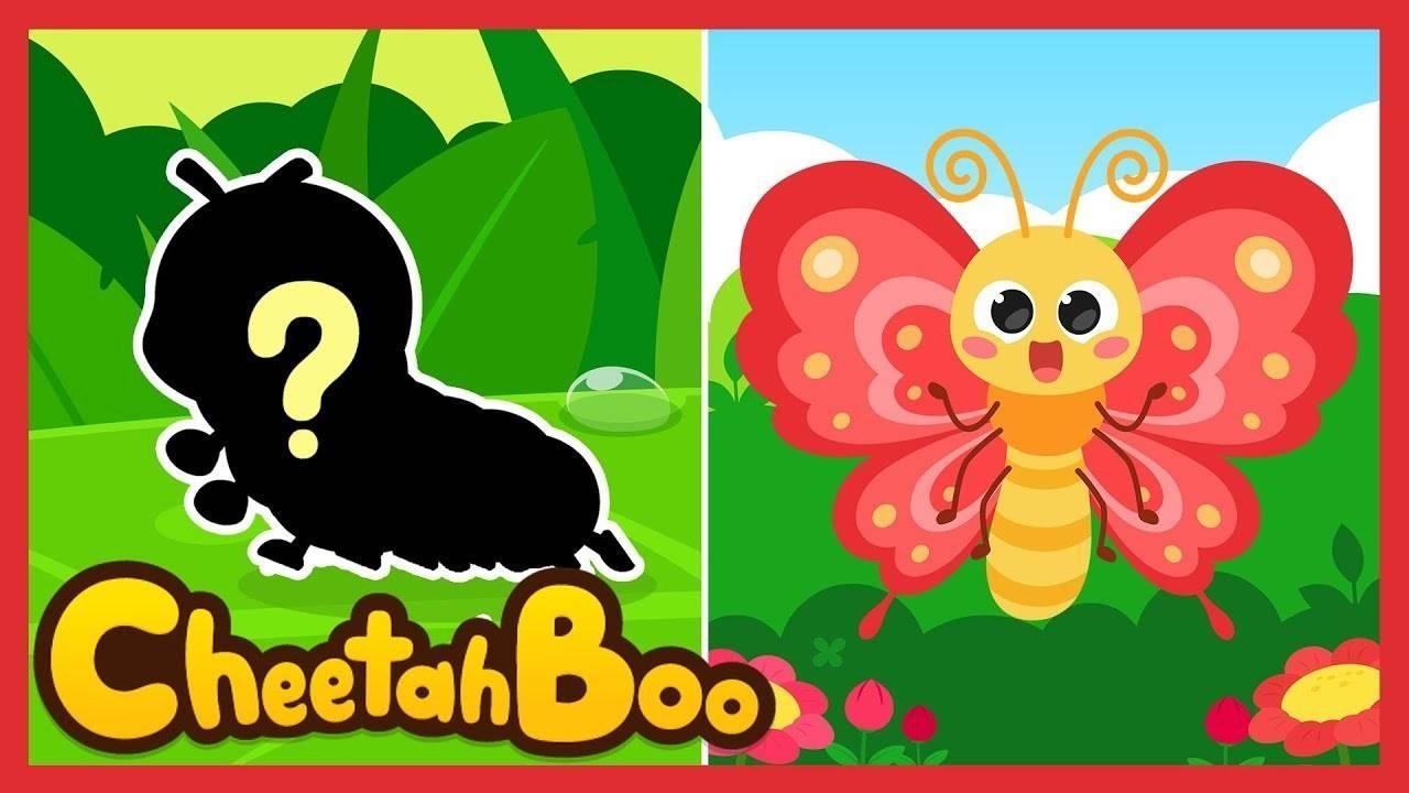 Cheetahboo - Insect Songs - What becomes a butterfly when it grows ...