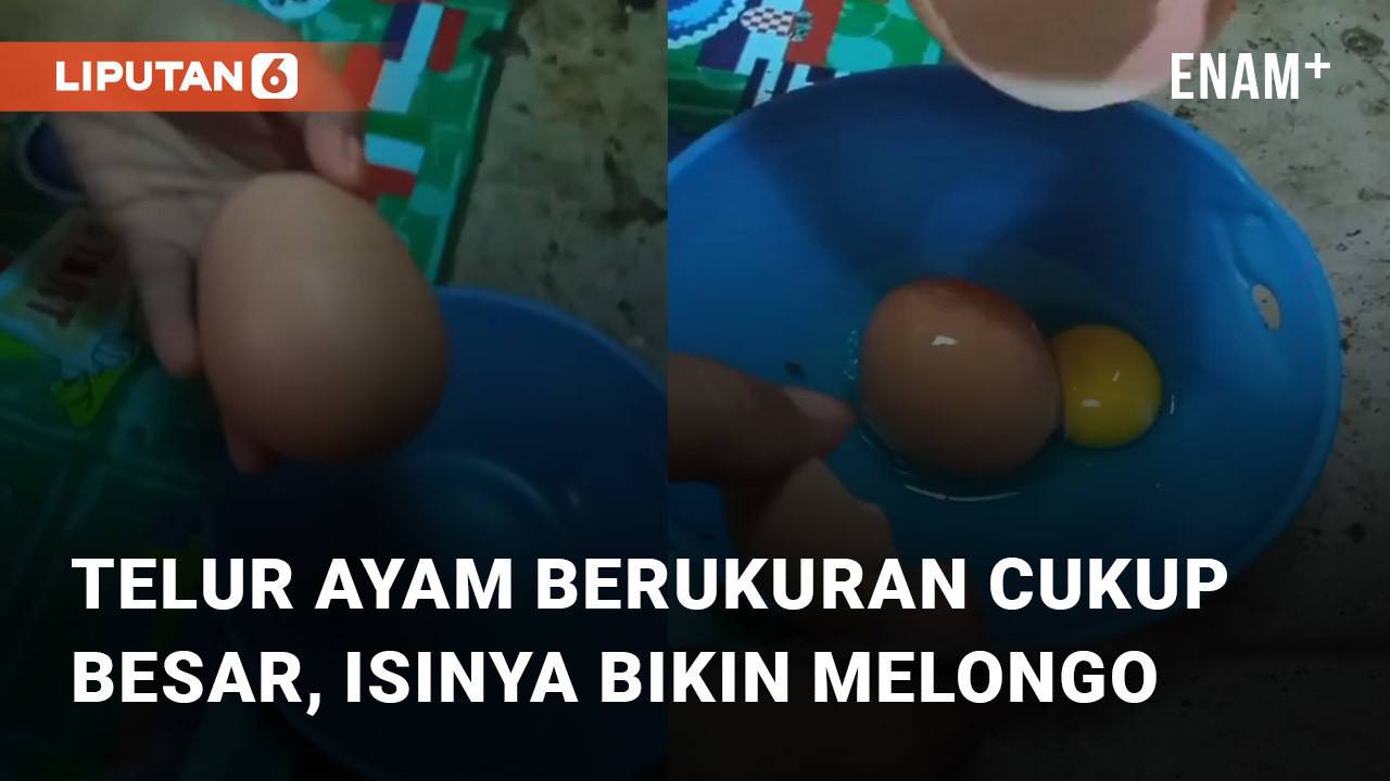 Telur Ayam Berukuran Cukup Besar, Isinya Bikin Melongo - liputan6.com