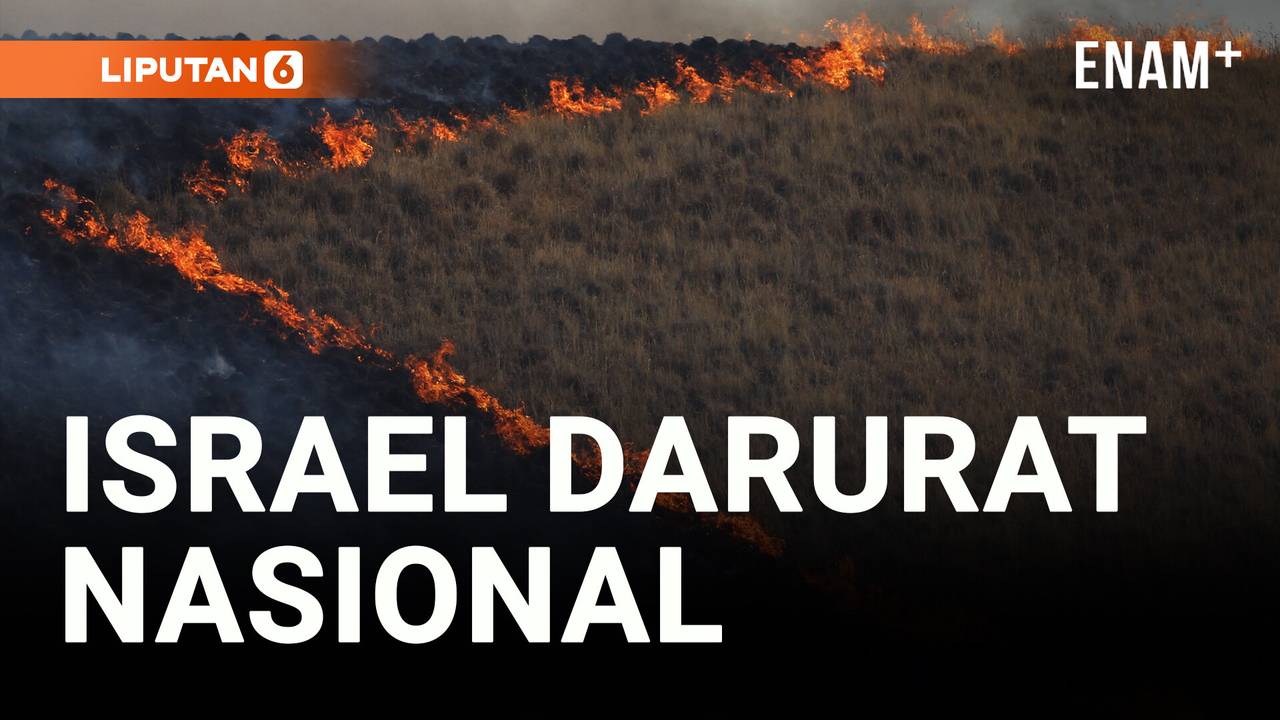 Kebakaran Hutan di Israel Disebut Keadaan Darurat Nasional - liputan6.com