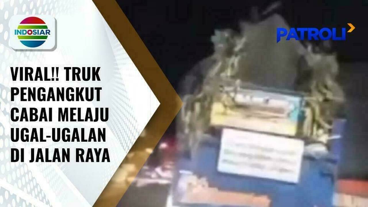Truk Pengangkut Cabai Terekam Ugal-ugalan di Jalan Pantura, Bahayakan Pengendara Lain | Patroli ...