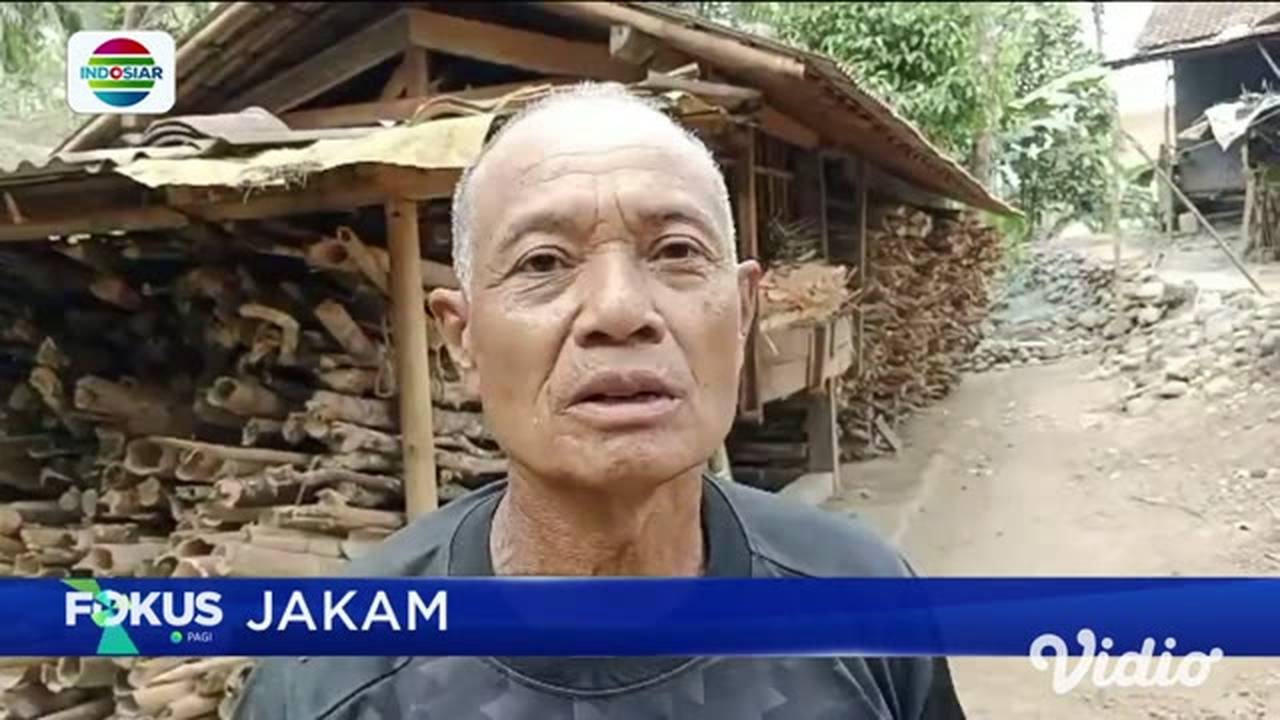 Kawanan Monyet Serbu Permukiman Warga - Indosiar Regional | Vidio