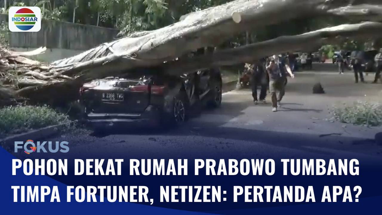 Pohon Tumbang Dekat Rumah Prabowo Timpa Mobil Fortuner | Fokus - INDOSIAR | Vidio