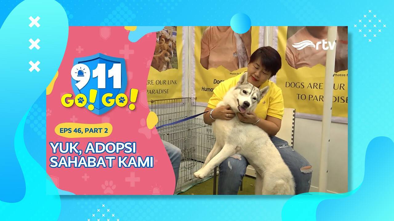 HARUS KOMITMEN KALAU MAU PIARA HEWAN | 911 GO GO RTV | Vidio