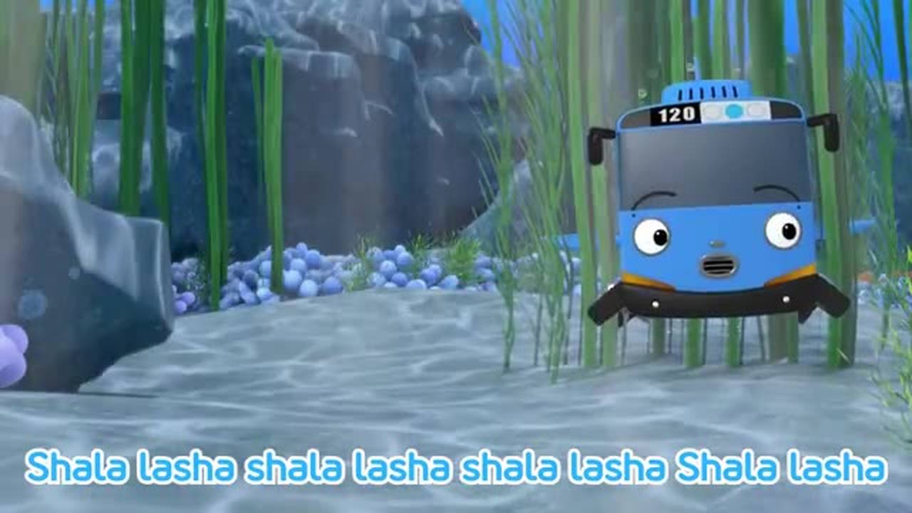 Tayo Shark Song - Ep 03 - Carpet Shark (2022) | Vidio