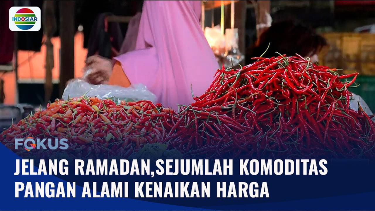 Harga Pangan Naik Jelang Ramadan, Cabai Rawit Tembus Rp120 Ribu per Kg | Fokus - INDOSIAR | Vidio