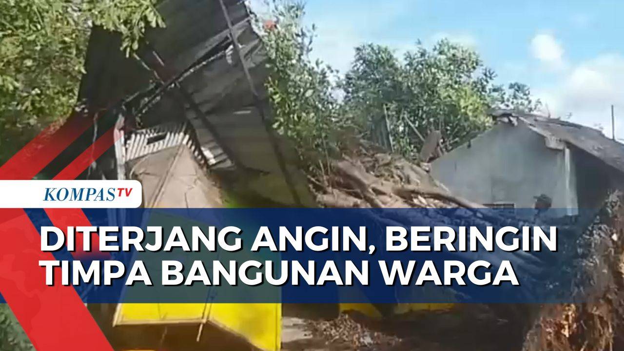 Diterjang Angin, Pohon Beringin Timpa Bangunan Warga di Purwokerto ...