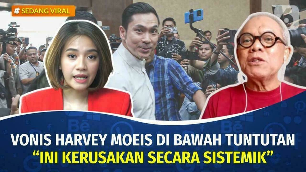 Pakar Hukum Soroti Vonis Bui Harvey Moeis Jauh Lebih Rendah di Korupsi ...