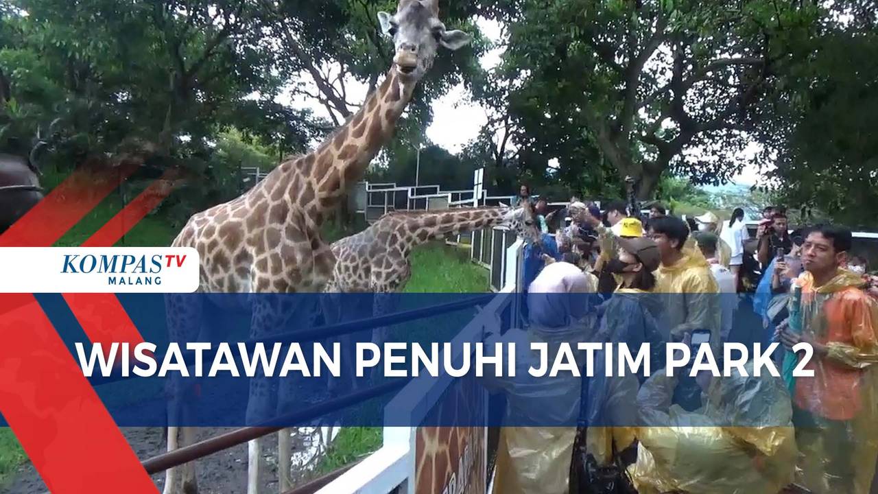 Hujan Tak Surutkan Langkah Wisatawan Habiskan Libur Lebaran di Kota ...