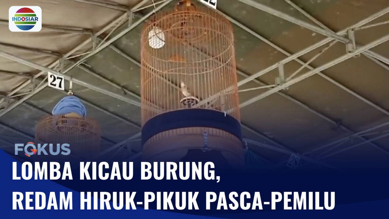 Lomba Kicau Burung Redam Ketegangan Pemilu 2024 | Fokus - INDOSIAR