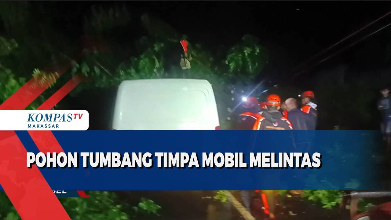 Pohon Tumbang Timpa Mobil Melintas - Kompas TV | Vidio