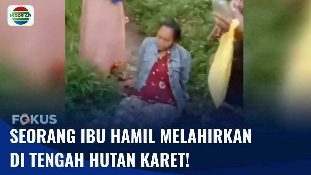 Seorang Ibu Hamil Melahirkan di Tengah Hutan Karet | Fokus - INDOSIAR | Vidio