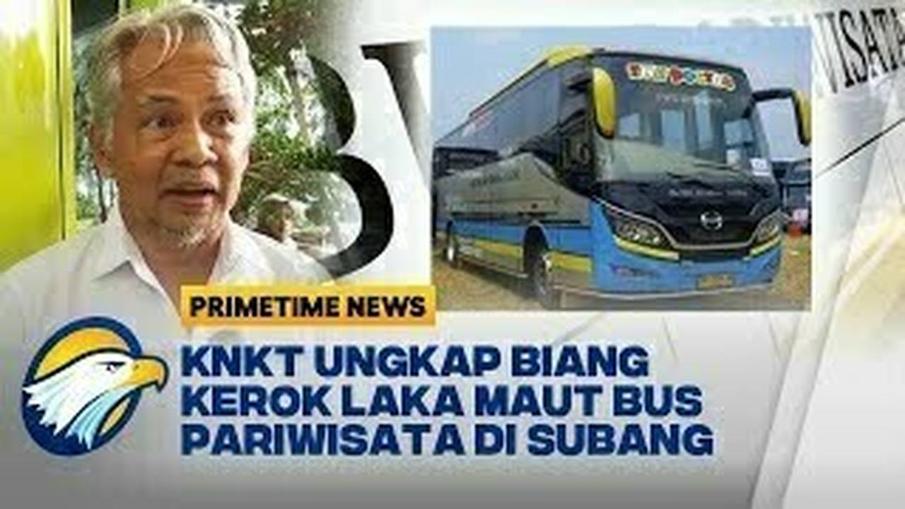Duh! Ternyata, Banyak Bus Pariwisata Tak Berizin Ber-Plat Kuning Bebas ...