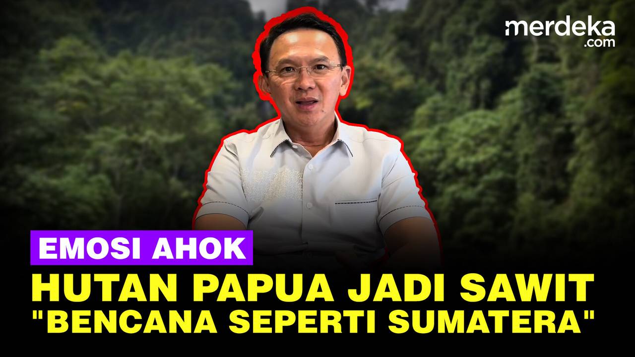 Emosi Ahok, Hutan Papua Diminta Prabowo Jadi Sawit: Bencana Seperti ...