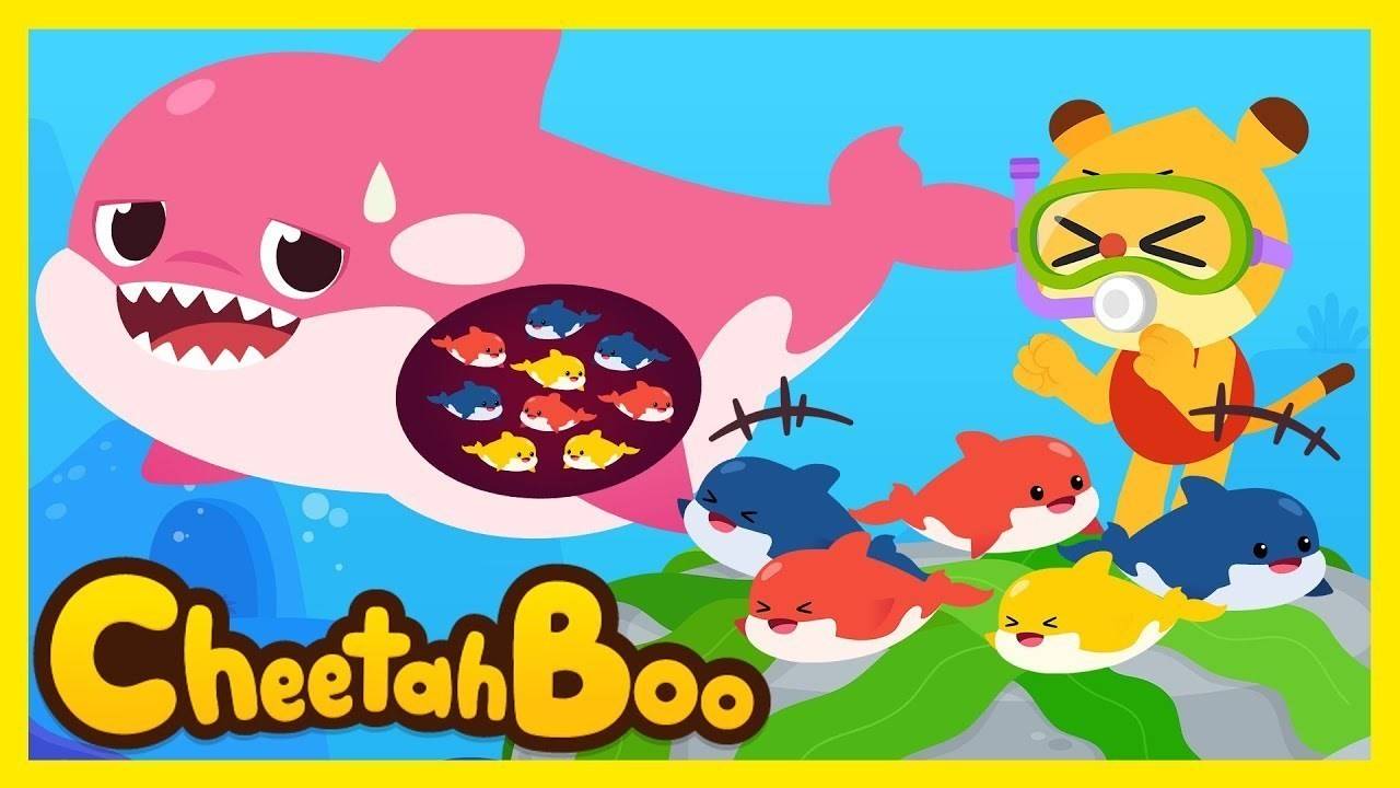 Cheetahboo - Cheetahboo Learn Numbers - A mother killer whale gave ...