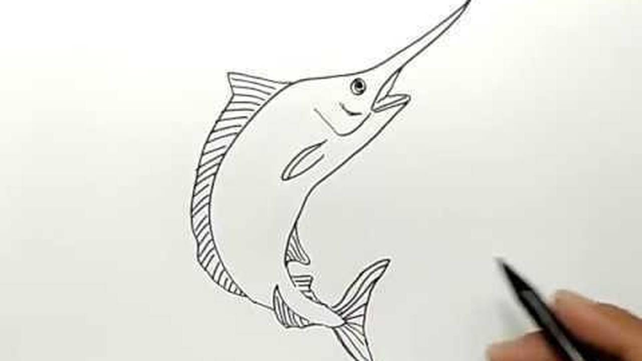 cara menggambar ikan pedang atau ikan cucut hanya 1 menit / how to draw ...