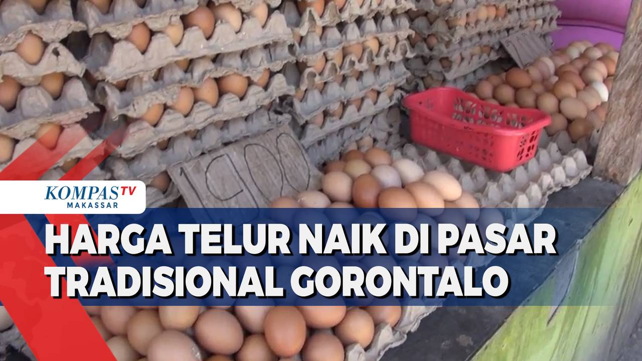 Harga Telur Naik Di Pasar Tradisional Gorontalo - Kompas TV | Vidio