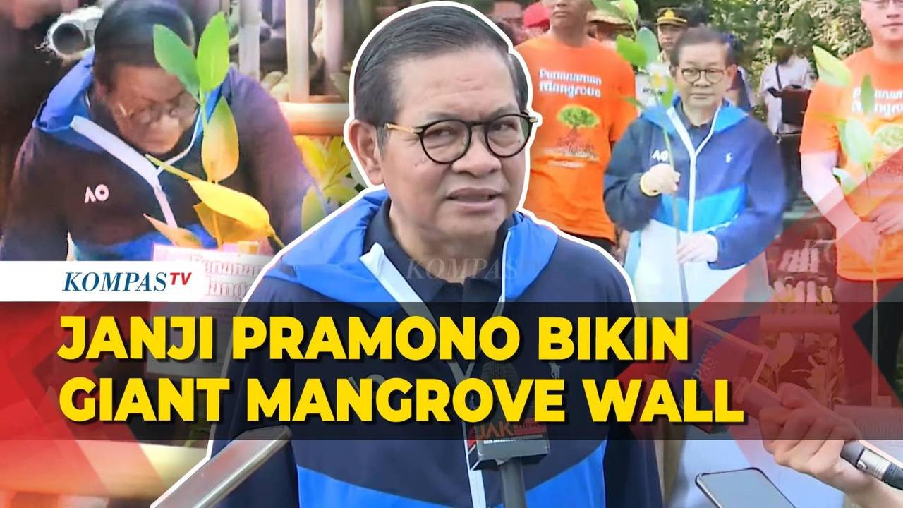 Janji Pramono Anung, Bikin Giant Mangrove Wall di Jakarta - Kompas TV | Vidio