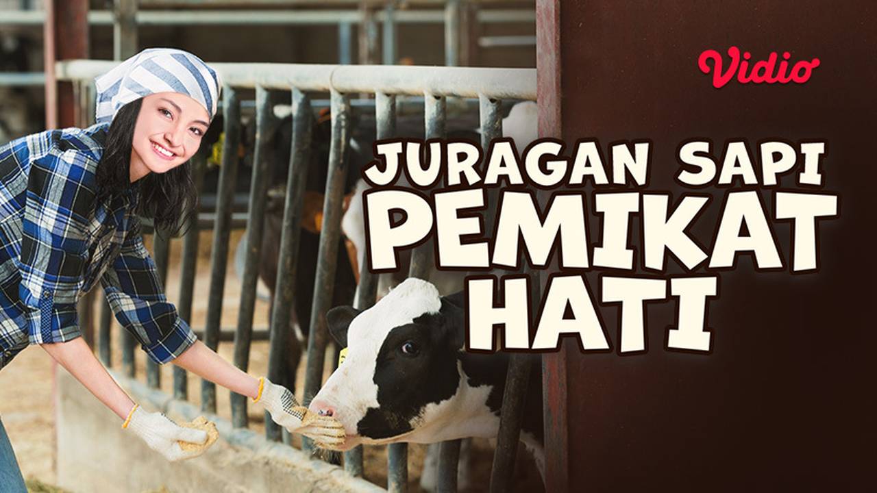 Streaming Juragan Sapi Pemikat Hati